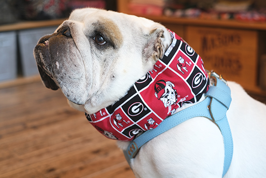 【暑さ対策】クールスヌード